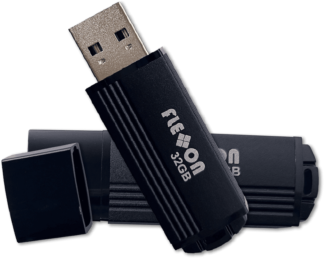 Form Factor: USB — FLEXXON PTE LTD
